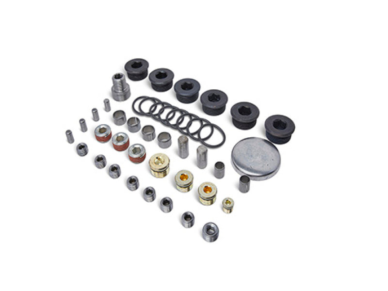 Ford Racing Block Plug and Dowel Kit (For Z Blocks) | Juggernaut ...